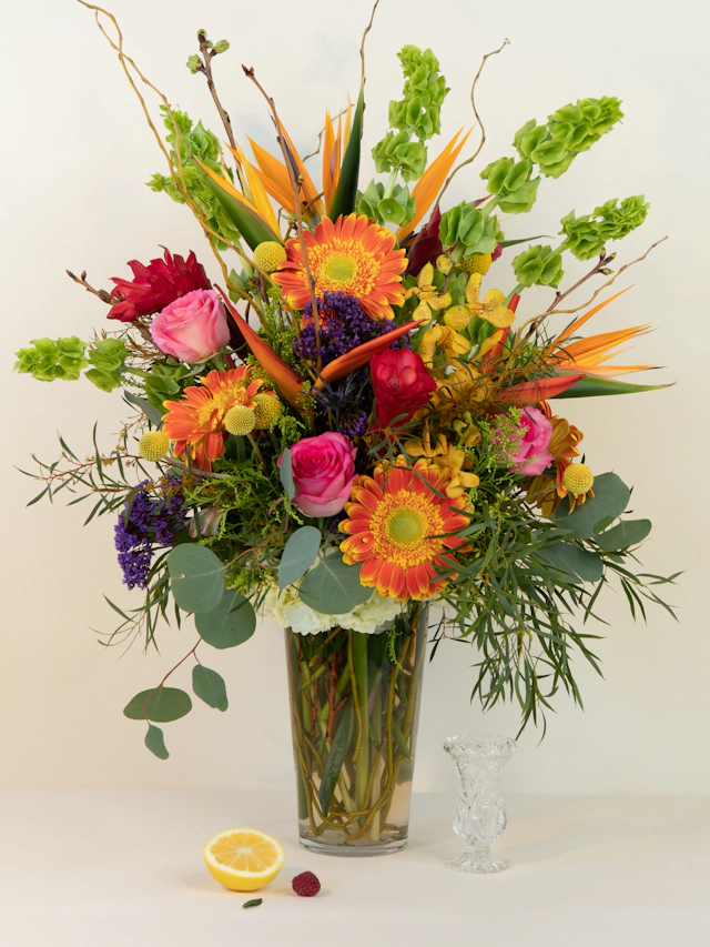 CUT DAISY VARIETIES AND CARE GUIDE | French Florist