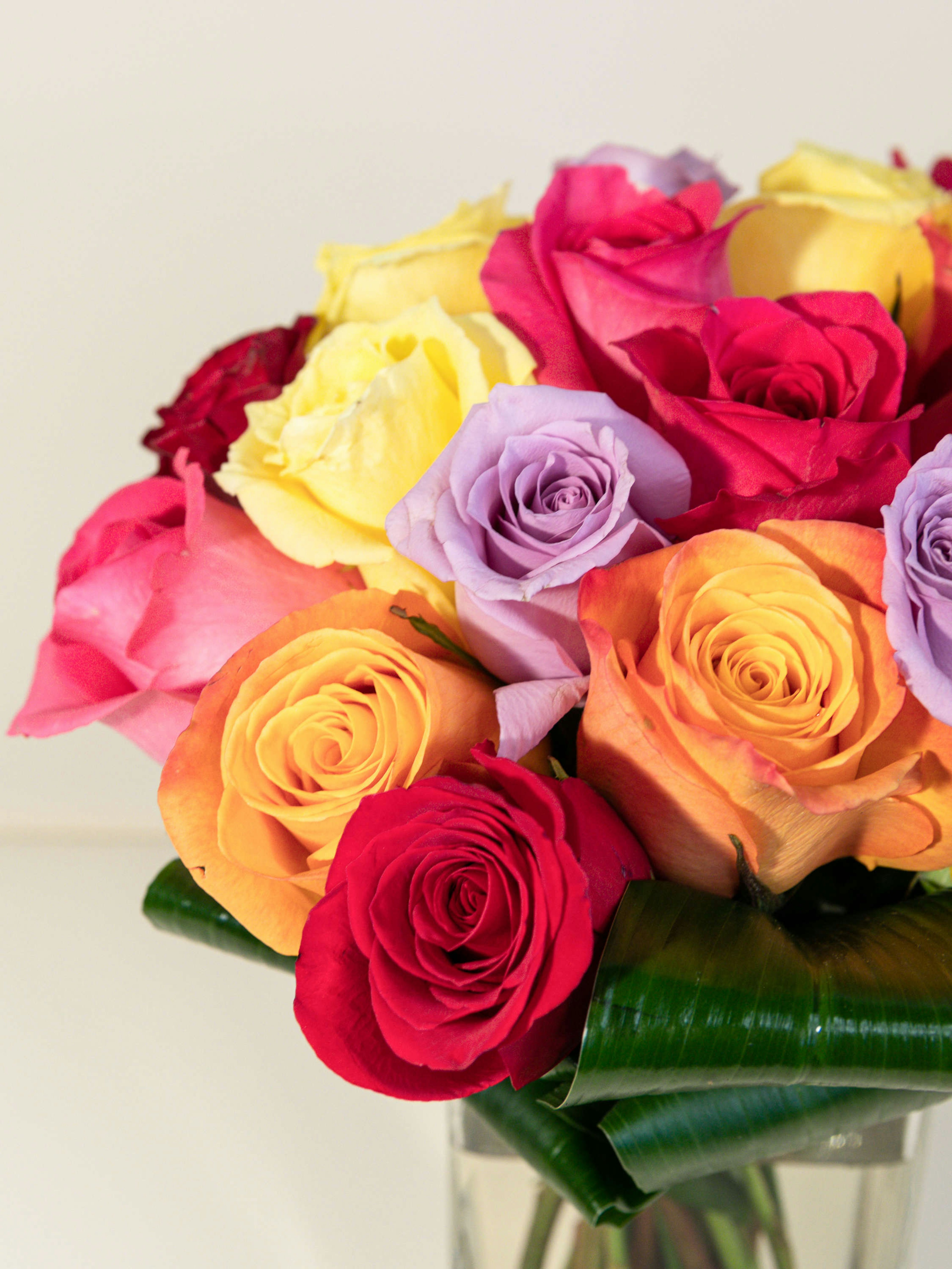 25 White Roses | French Florist