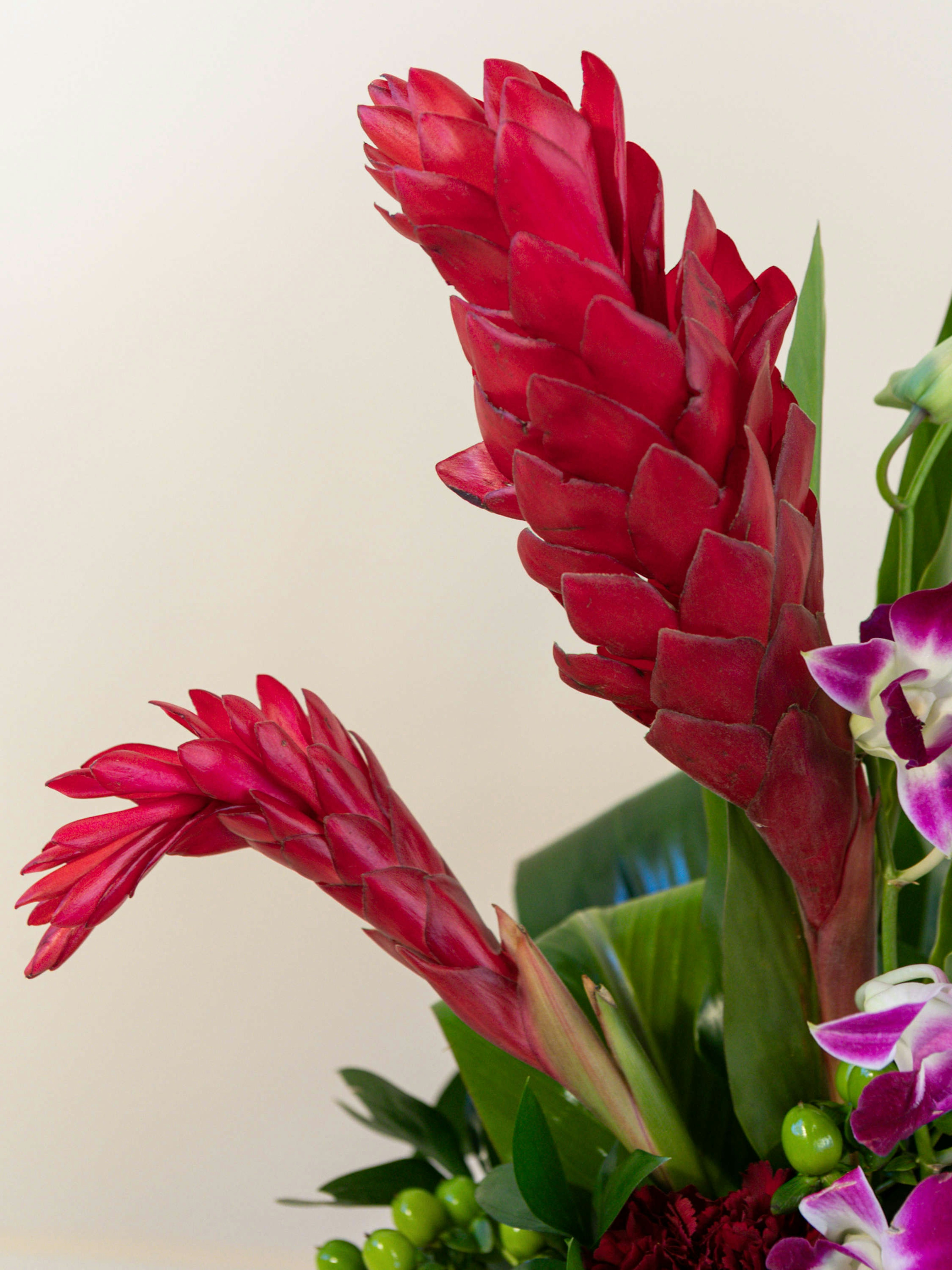 Florist in Santa Monica | Tropical Trio | French Florist