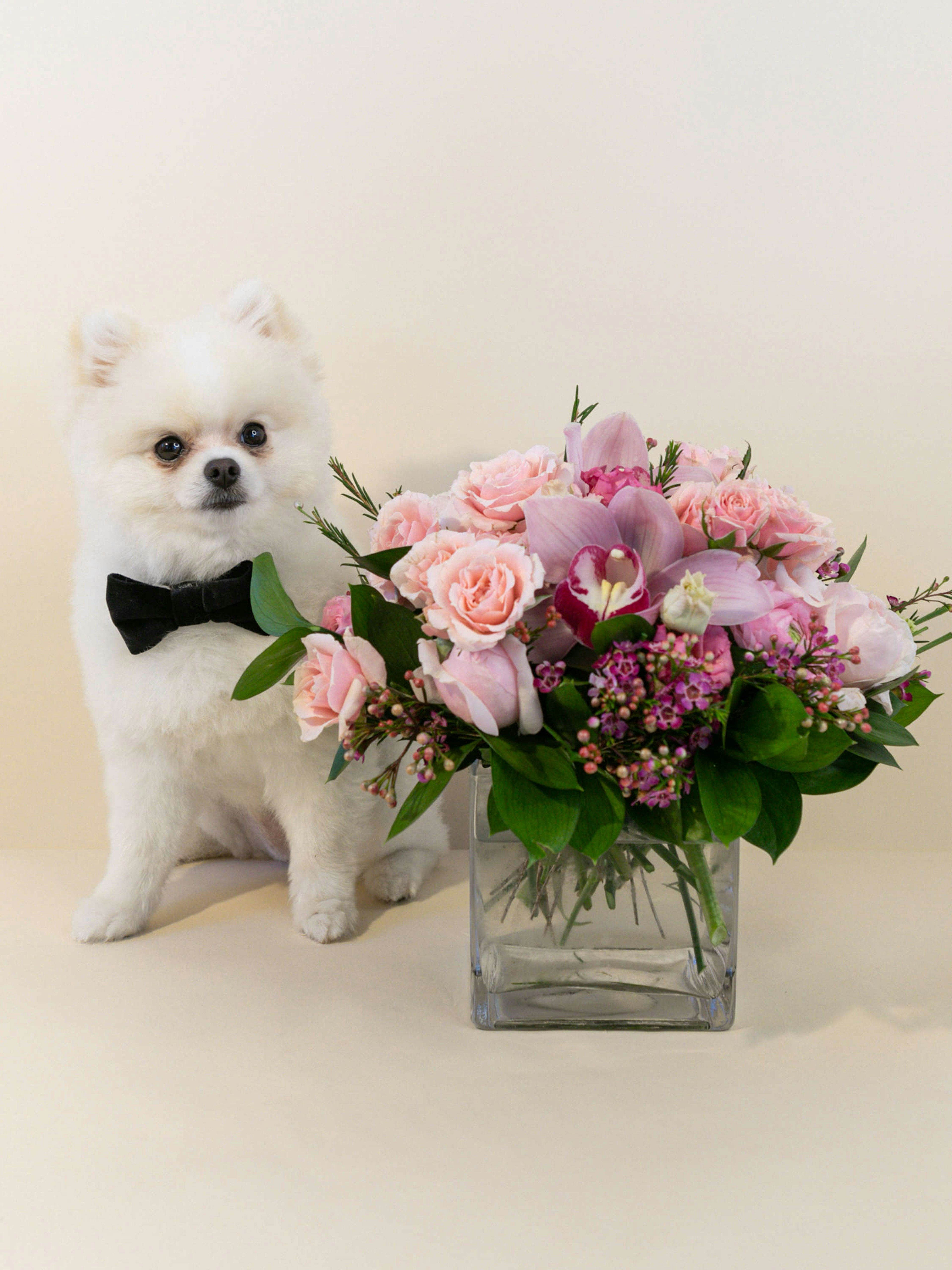 Florists West Hollywood | Los Angeles Flower Delivery | French Florist