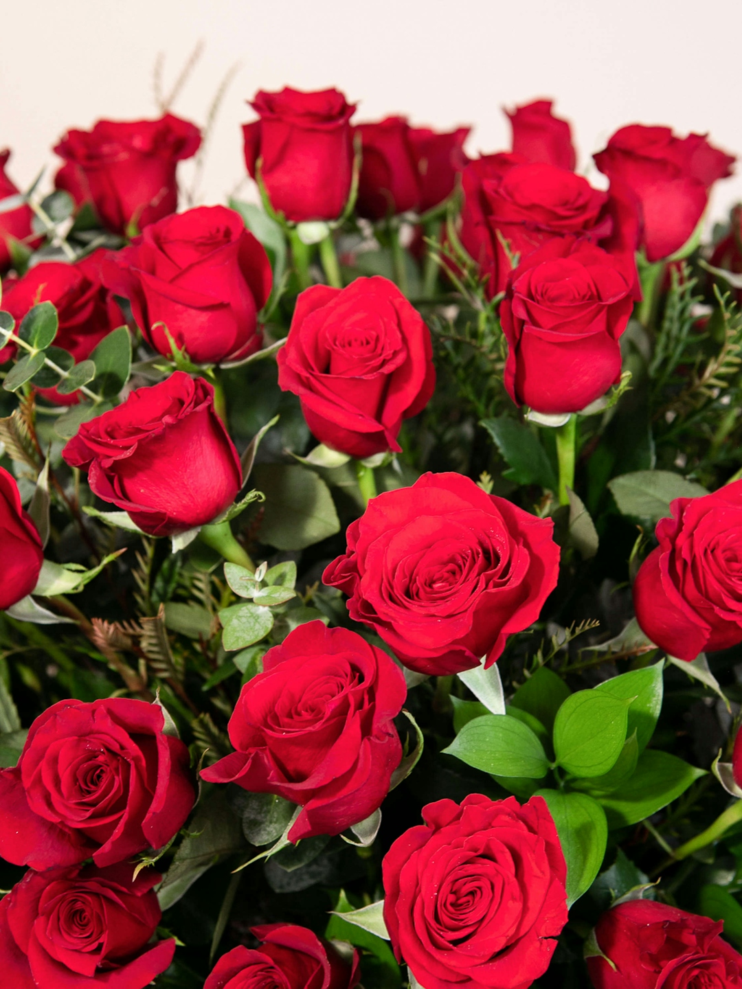 One Hundred Ecuadorian Roses - Large Vase Los Angeles, CA