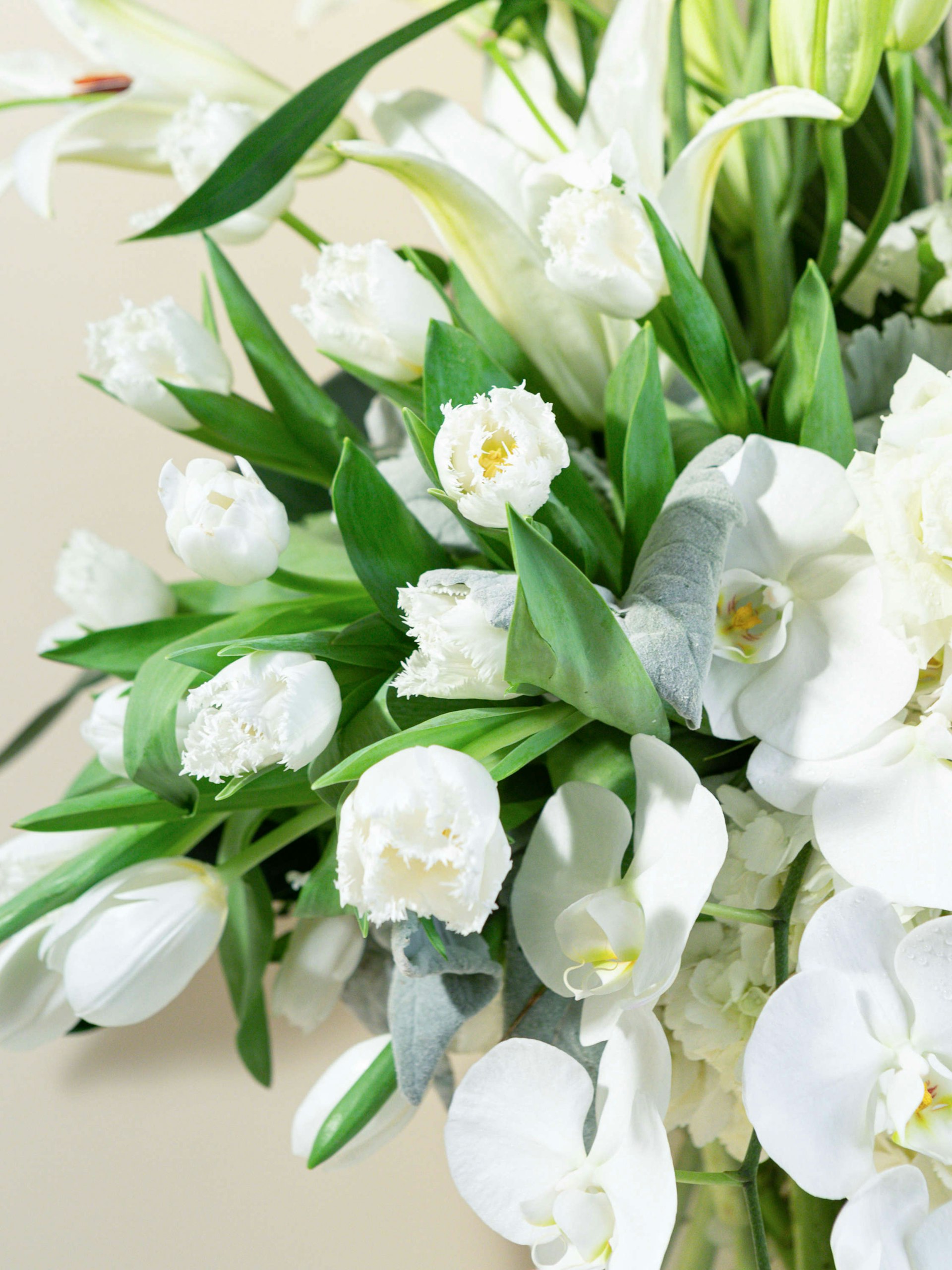 Long Lasting Beauty - Flowers Los Angeles | Same-day Flower Delivery LA ...