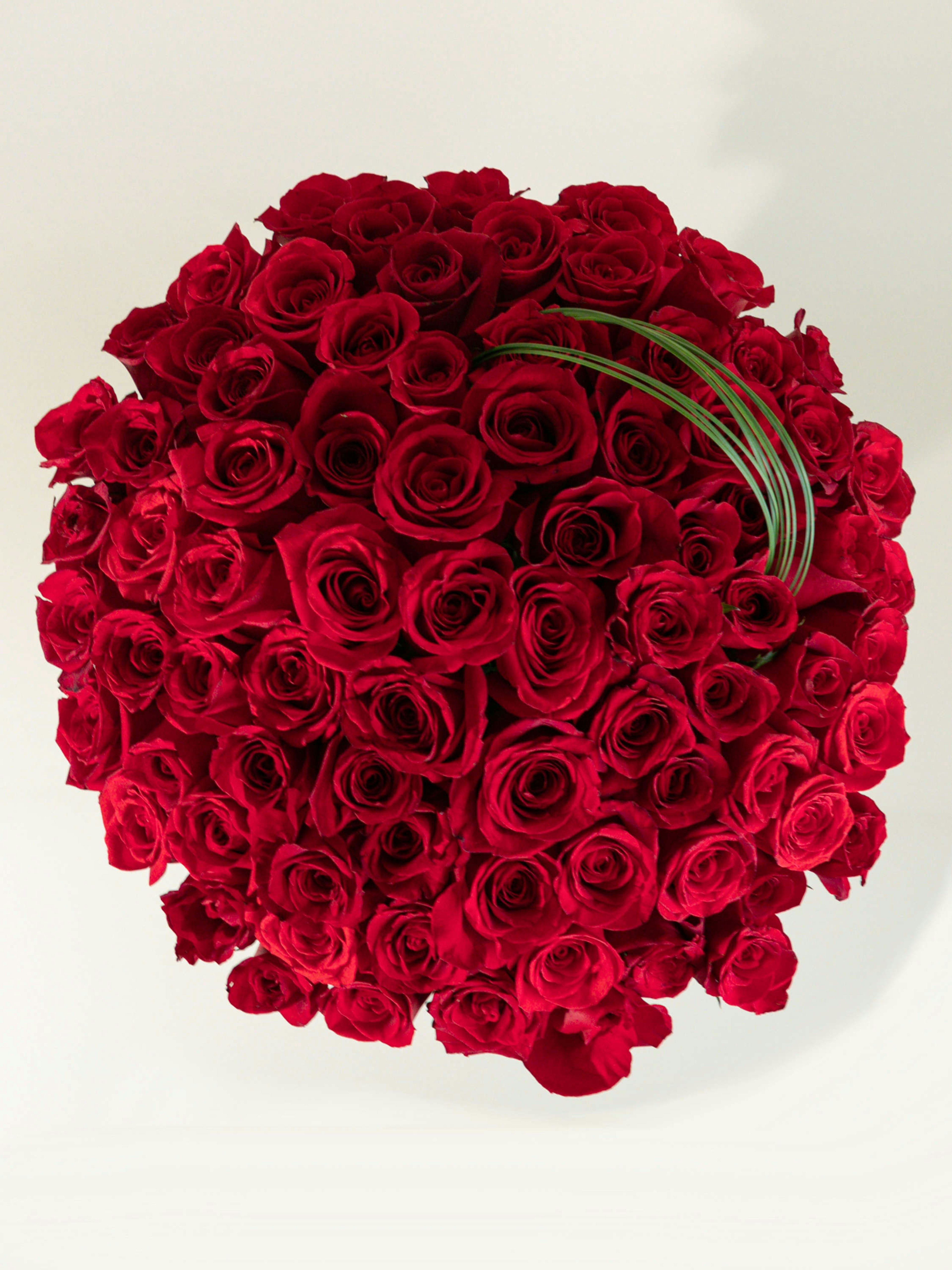 Tall Mono Color Rose Pave - Same-day Delivery Los Angeles