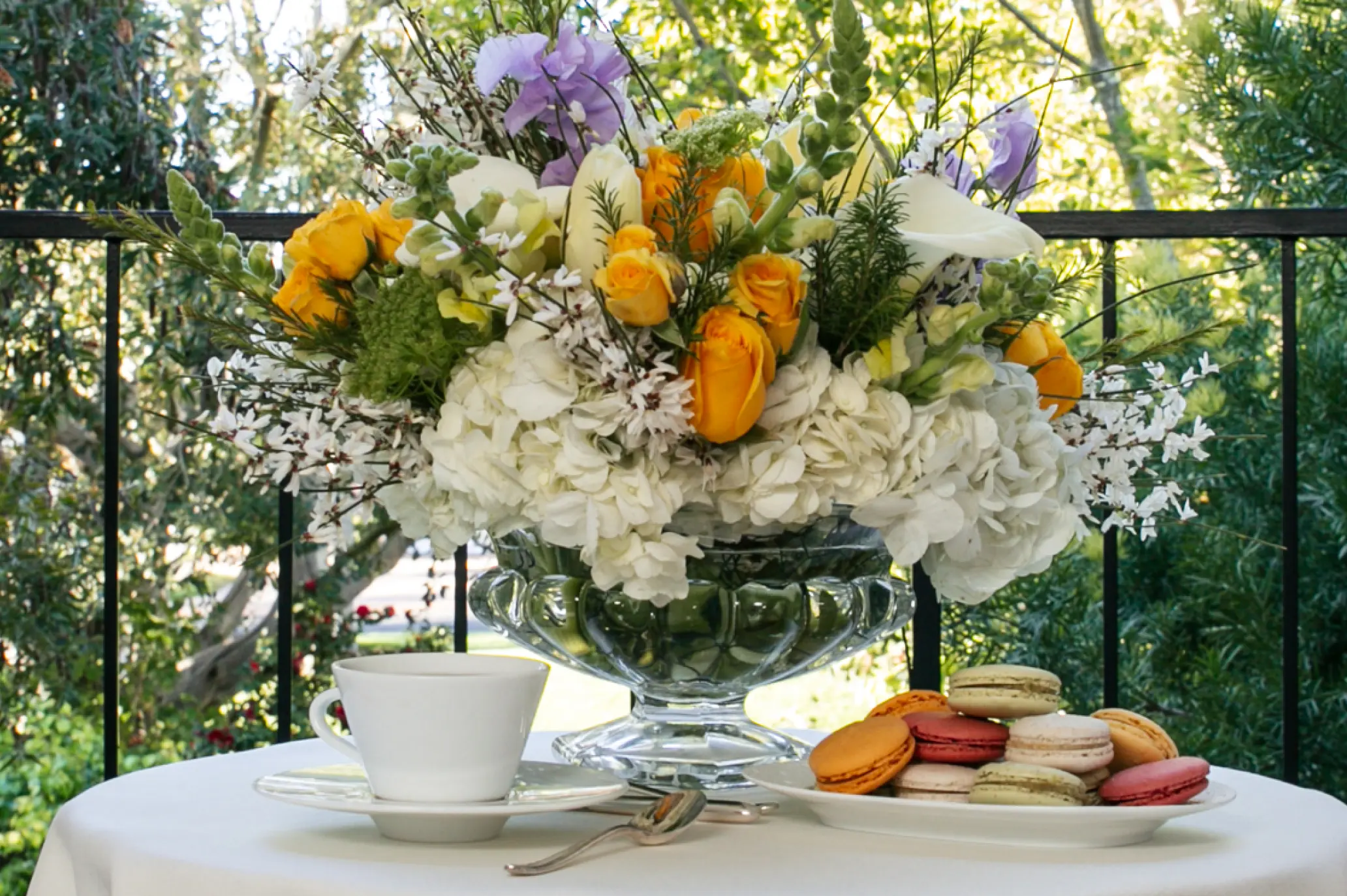 Highland Park Dallas Florist