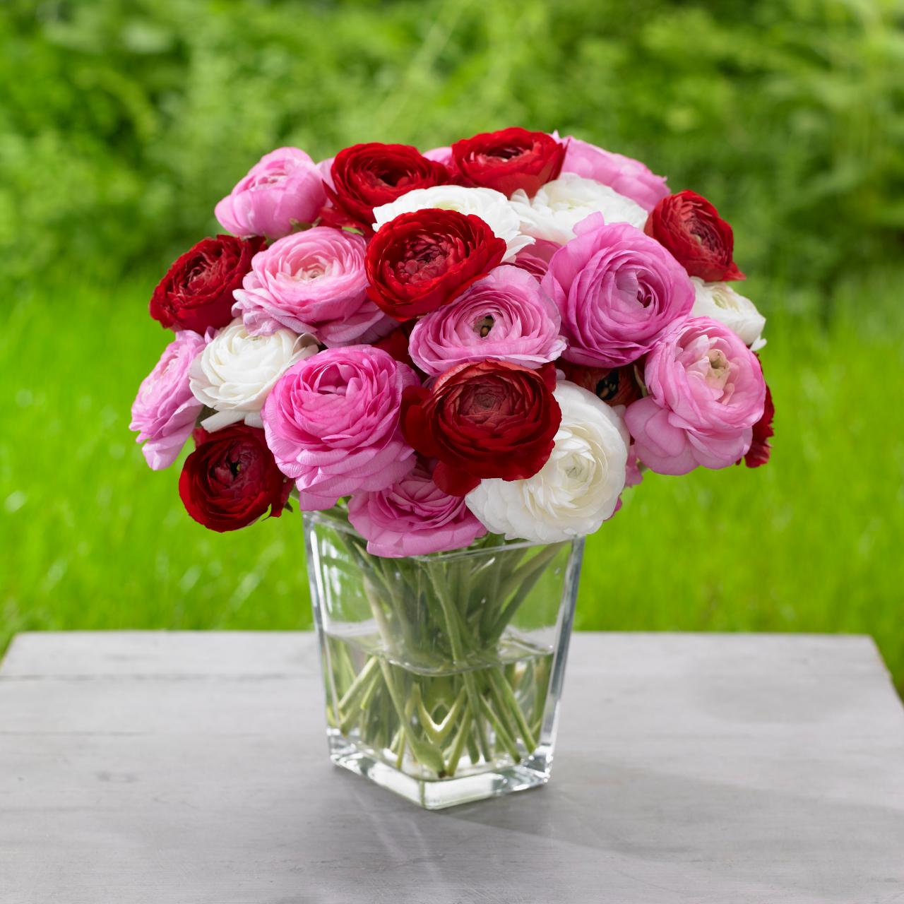How to Keep Fresh Cut Flowers Lasting Longer